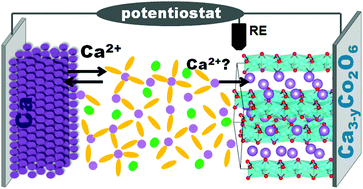 Electrochemical calcium extraction from 1D-Ca3Co2O6 - Dalton ...