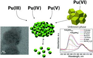 Redox-mediated formation of plutonium oxide nanoparticles - Dalton ...