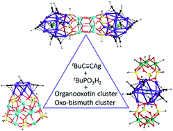 High-nuclearity silver ethynide clusters containing polynucleating ...