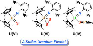 A sulphur and uranium fiesta! Synthesis, structure, and ...