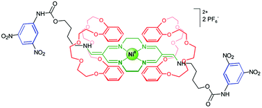 [3]rotaxanes composed of two dibenzo-24-crown-8 ether wheels and an ...
