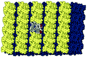 Computational insights into the inhibition of β-haematin ...
