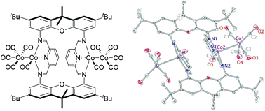 Reactions of dicobalt octacarbonyl with dinucleating and mononucleating ...