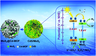 Construction of CdS/MoS2 heterojunction from core–shell MoS2@Cd-MOF for efficient photocatalytic ...