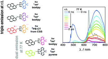 Four different emissions from a Pt(Bodipy)(PEt3)2(S-Pyrene) dyad ...
