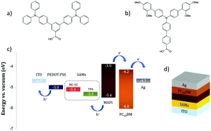 Semiconductor self-assembled monolayers as selective contacts for ...