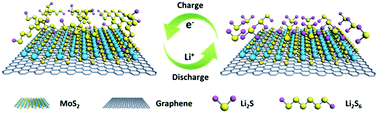 Freestanding 1T MoS2/graphene heterostructures as a highly efficient ...