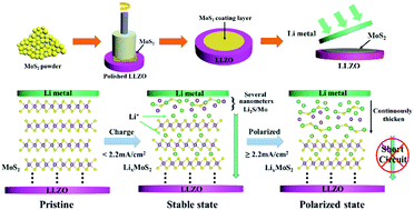 In situ formation of a bifunctional interlayer enabled by a conversion ...