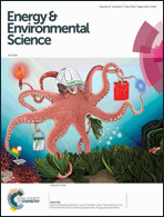 Inside front cover - Energy & Environmental Science (RSC Publishing)