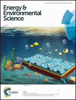 Front cover - Energy & Environmental Science (RSC Publishing)