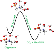 On the degradation pathway of glyphosate and glycine - Environmental ...