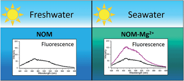 Differences in photochemistry between seawater and freshwater for two ...