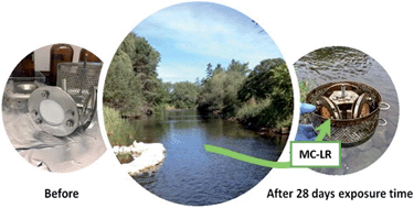 Exploring the detection of microcystin-LR using polar organic chemical ...