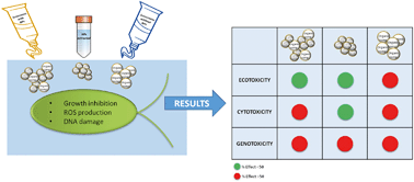 Nanoparticles based sunscreens provoke adverse effects on marine ...