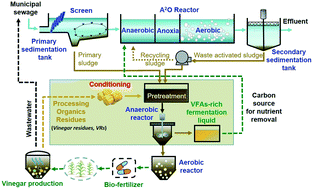 Efficient biorefinery of waste activated sludge and vinegar residue ...