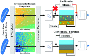 Environmental life cycle comparison of conventional and biological ...