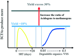 Short-chain fatty acid (SCFA) production maximization by modeling ...