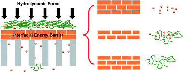 Ultrafiltration membrane fouling performance by mixtures with ...