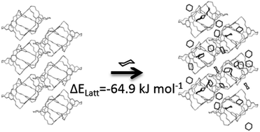 Computational modelling of solvent effects in a prolific solvatomorphic ...