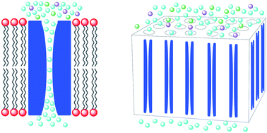Artificial water channels: inspiration, progress, and challenges ...