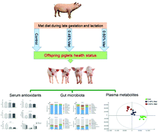 Effects of different methionine levels on offspring piglets during late ...