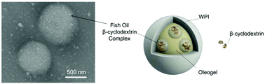 Oleogel-structured composite for the stabilization of ω3 fatty acids in ...