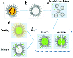 Leveraging plant exine capsules as pH-responsive delivery vehicles for ...