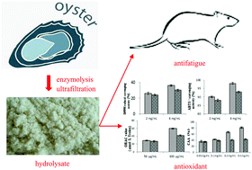 Anti-fatigue and anti-oxidant activities of oyster (Ostrea rivularis ...
