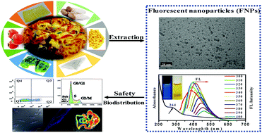 Fluorescent nanoparticles in the popular pizza: properties ...