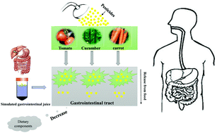 Interactions of food matrix and dietary components on neonicotinoid ...
