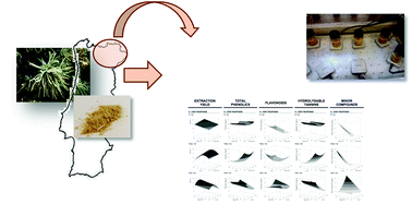Development of a natural preservative obtained from male chestnut ...