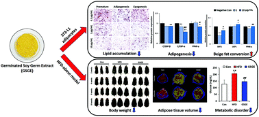 Germinated soy germ extract ameliorates obesity through beige fat ...