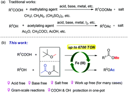 Protection of COOH and OH groups in acid, base and salt free reactions ...