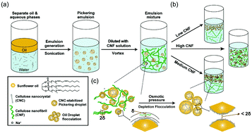 Pickering emulsions by combining cellulose nanofibrils and nanocrystals ...