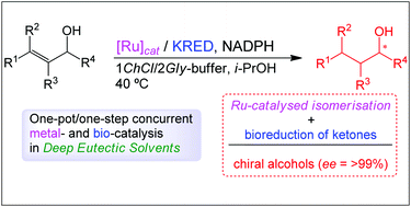 Programming cascade reactions interfacing biocatalysis with transition ...