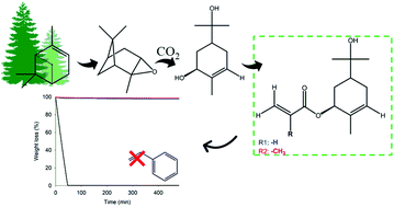 A simple strategy toward the substitution of styrene by sobrerol-based ...