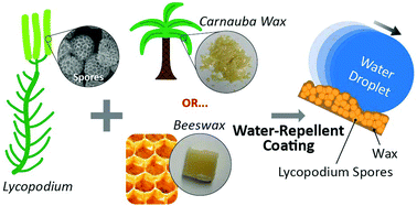 A methodology to produce eco-friendly superhydrophobic coatings ...