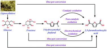 Production of 2,5-furandicarboxylic acid (FDCA) from 5 ...
