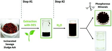 Deep eutectic solvents as extraction media for metal salts and oxides ...