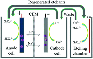 Electrooxidation of sulfate paired to electroreduction of copper for ...
