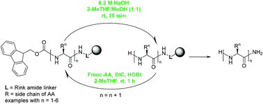 Environmentally friendly SPPS I. Application of NaOH in 2-MeTHF ...