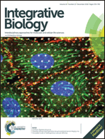 Front cover - Integrative Biology (RSC Publishing)