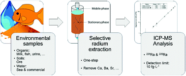 Rapid, versatile and sensitive method for the quantification of radium ...