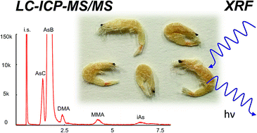 Characterization of arsenic in dried baby shrimp (Acetes sp.) using ...