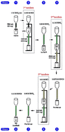 A triple tandem columns extraction chromatography method for isolation ...
