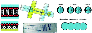 Droplet microfluidics for the construction of compartmentalised model ...
