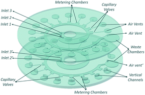 A linear concentration gradient generator based on multi-layered ...