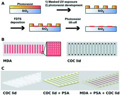 Micro-droplet arrays for micro-compartmentalization using an air/water ...