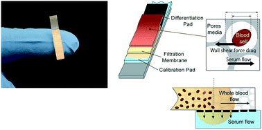 High-yield paper-based quantitative blood separation system - Lab on a ...