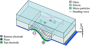 Thin film piezoelectrics for bulk acoustic wave (BAW) acoustophoresis ...